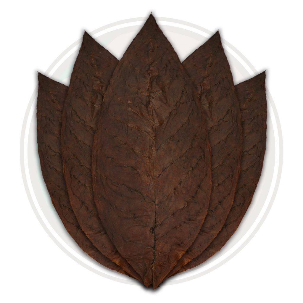 Seed To Smoke - Ababil FZCO | Multinational Tobacco Company In Dubai
